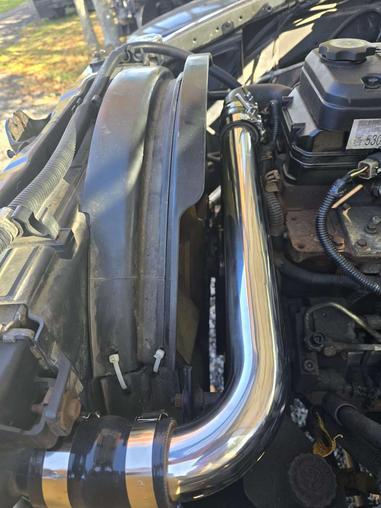 03-09 Cummins Upper & Lower Stainless Steel Radiator Hoses with HD ...